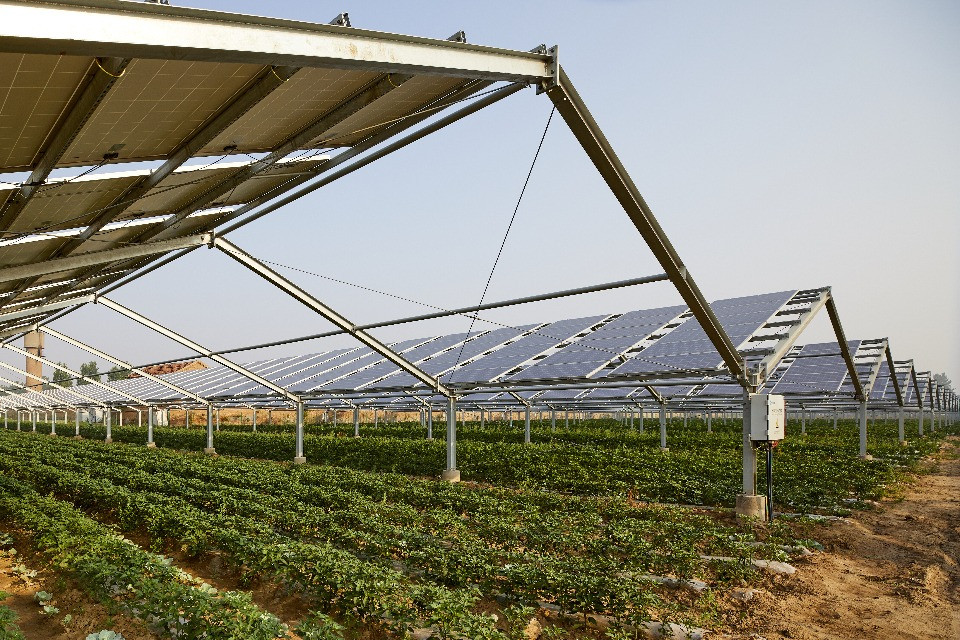 "L'uso di pannelli solari nell'agricoltura va promosso"