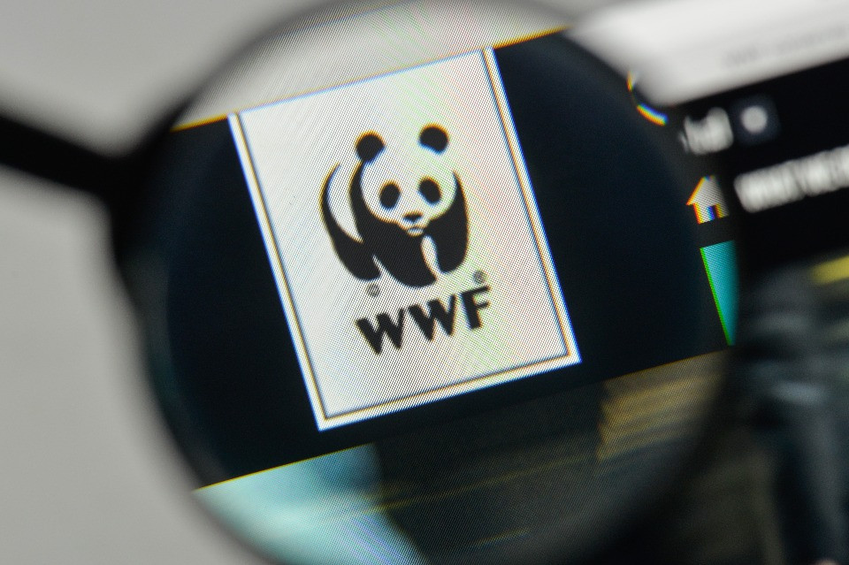 WWF russo: "Tagliamo i legami con l'ONG internazionale"