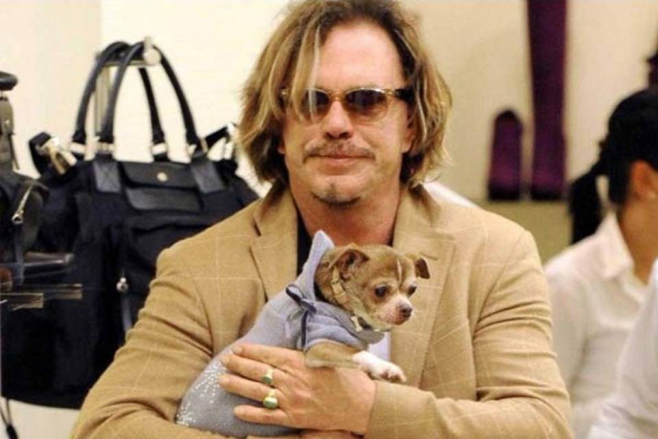 Mickey Rourke salvato dal chihuahua